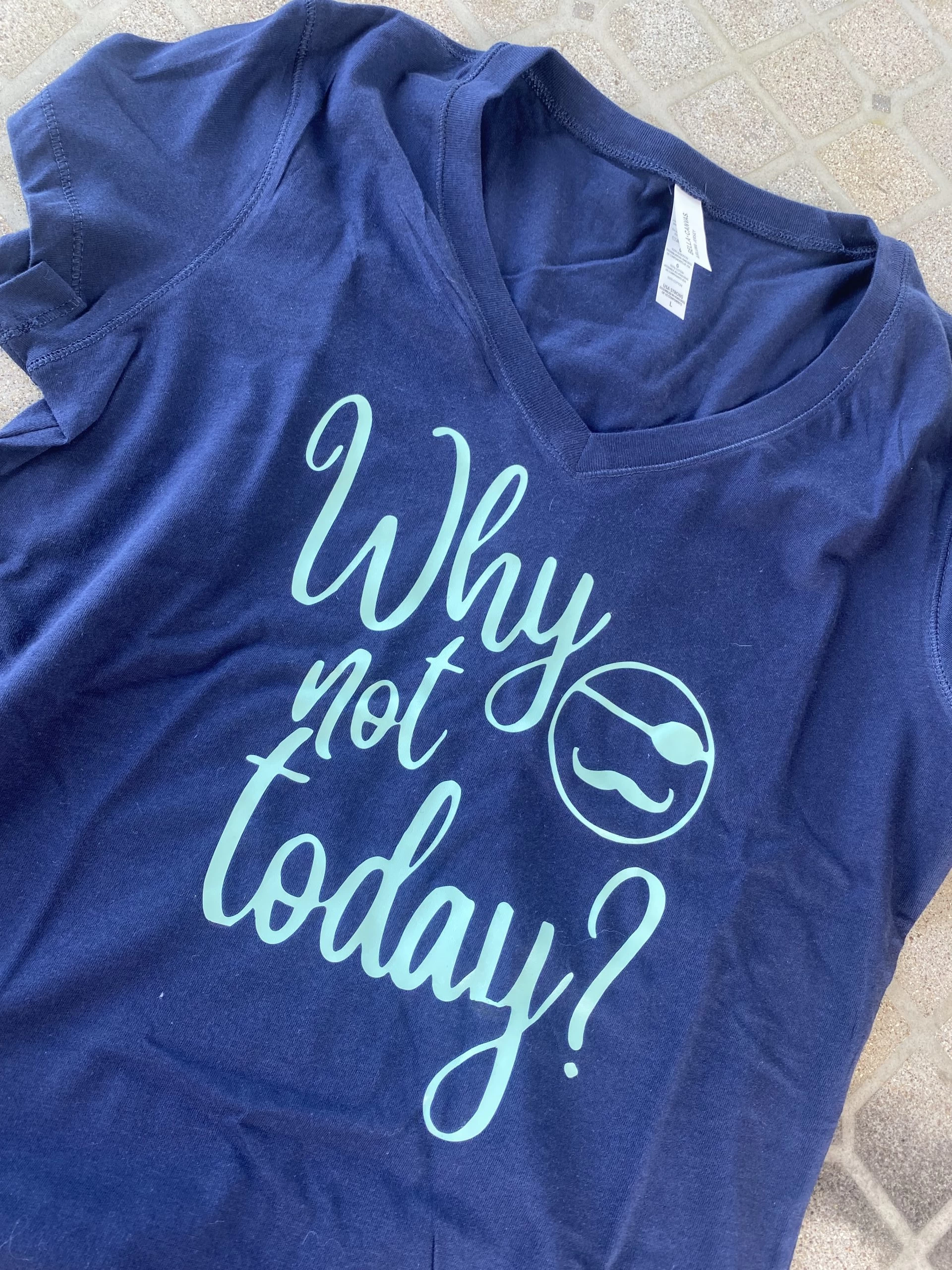 Merch - Why Not Today Movement With Leslie Kane